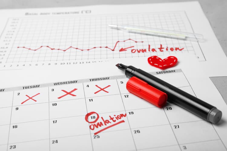How to Induce Ovulation for Pregnancy?